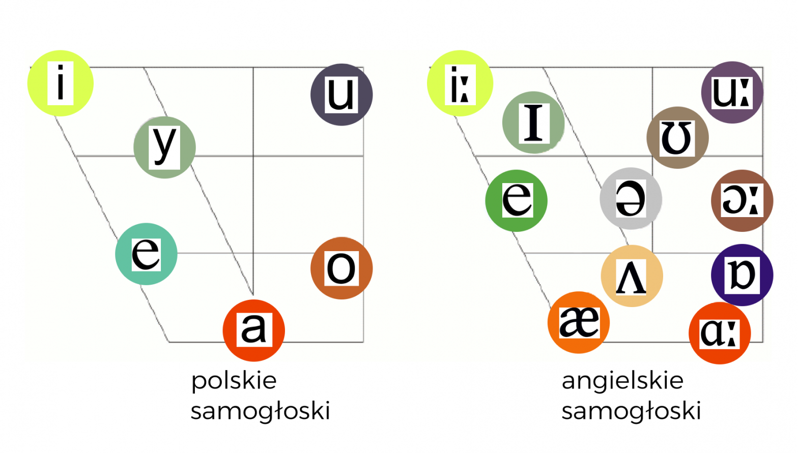 Międzynarodowy alfabet fonetyczny IPA - wymowa i transkrypcja w języku ...