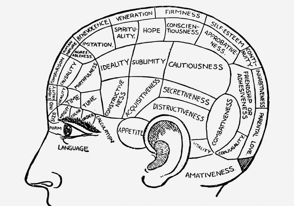 Cognitive Linguistics in Language Learning | Taalhammer