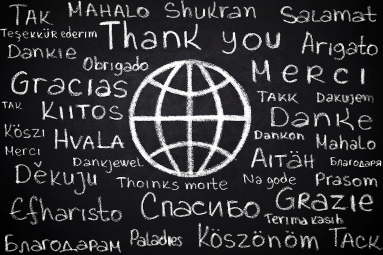 Beginner language learners | Taalhammer